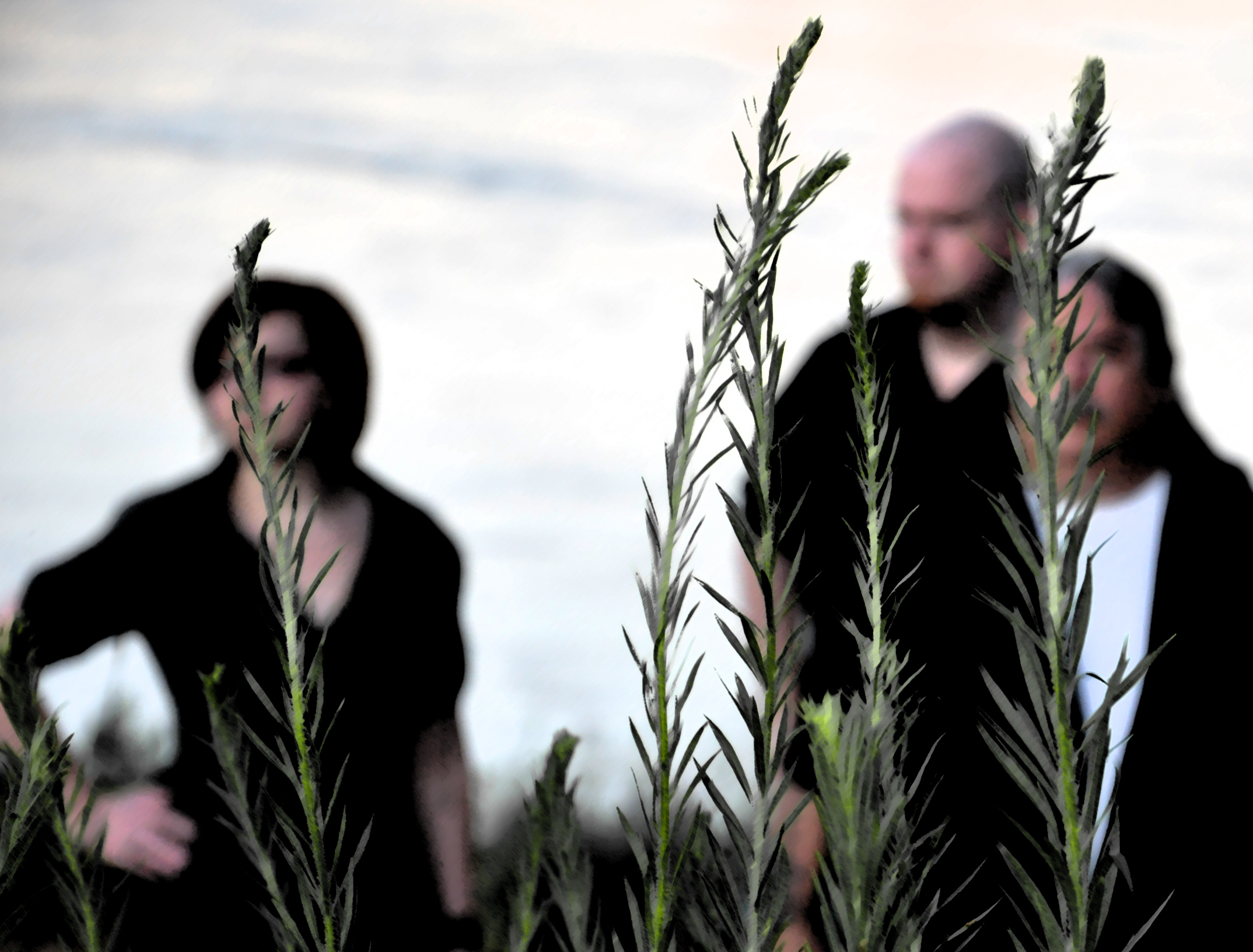 Daybloom | Quadrivalent Records